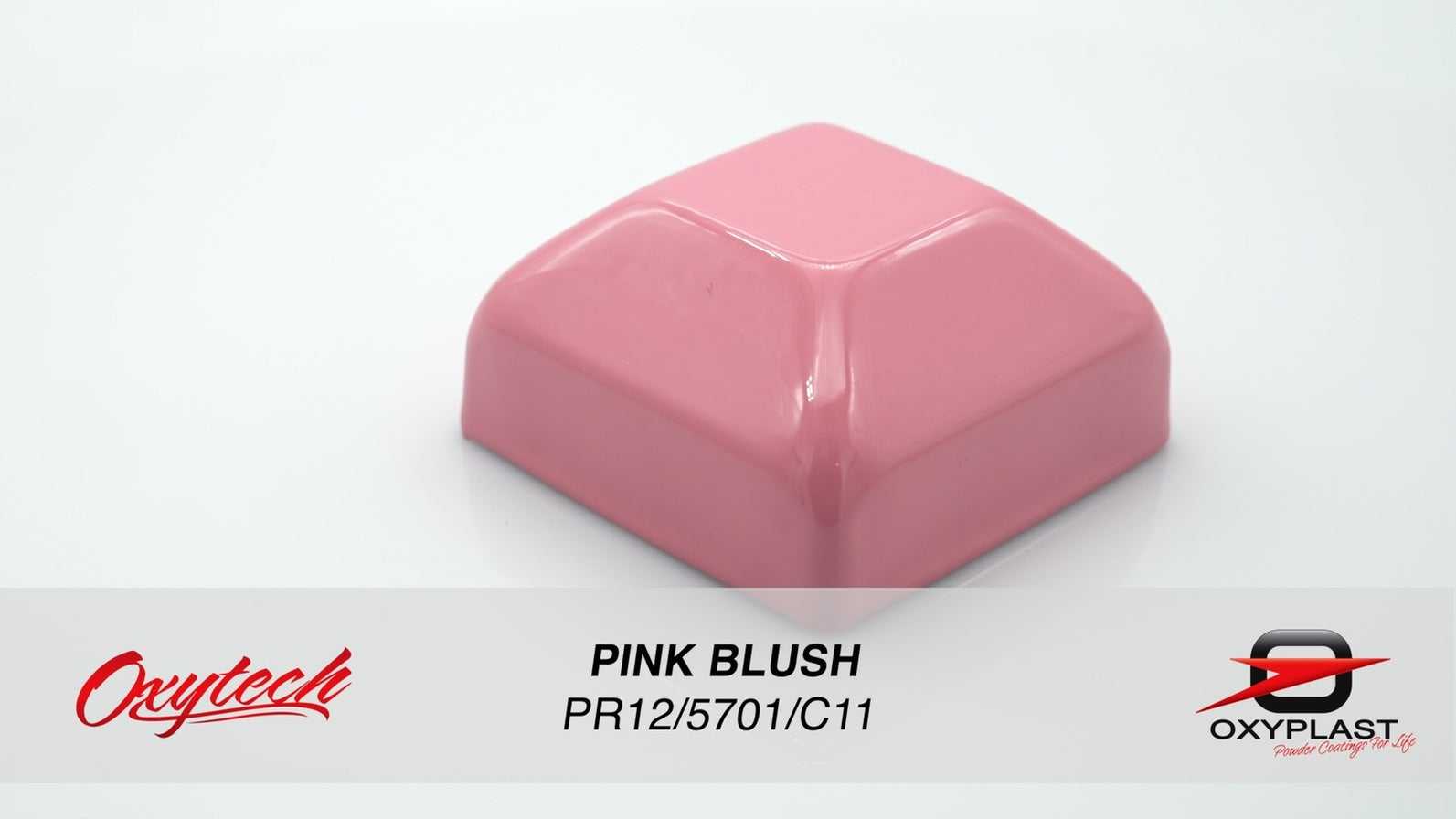 Home PINK BLUSH