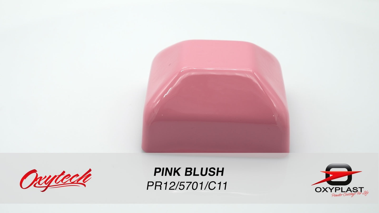 Home PINK BLUSH
